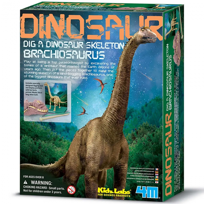 4M KidzLabs craft kit "Brachiosaurus skelet | XS Leksaker